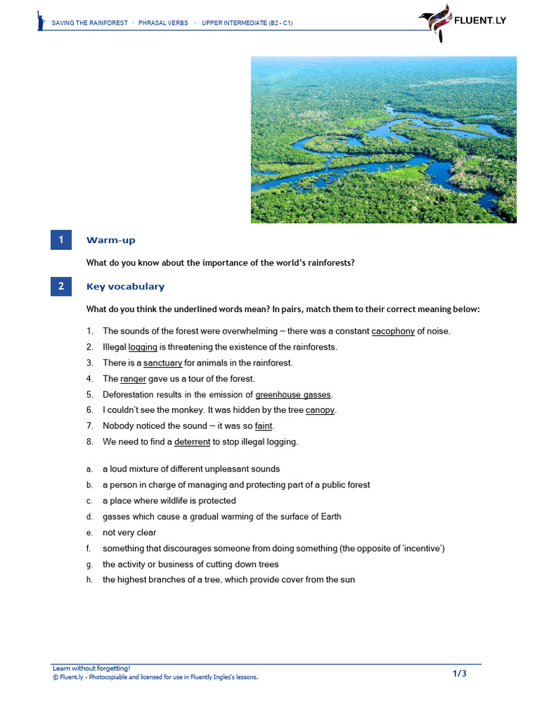 Rainforest Vocabulary and Phrasal Verbs | PDF | Rainforest | Logging