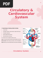 Overview of the Circulatory System | PDF | Blood Vessel | Heart