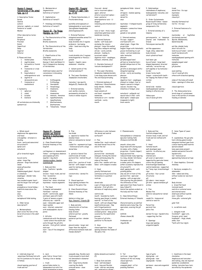 Long Exam Reviewer Outline (Taxonomy + External Features) | PDF | Skin ...