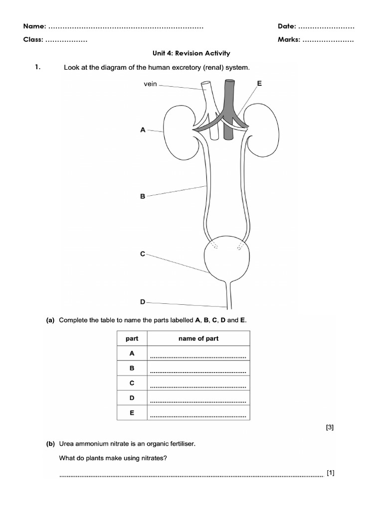 Unit 4 Revision Paper | PDF
