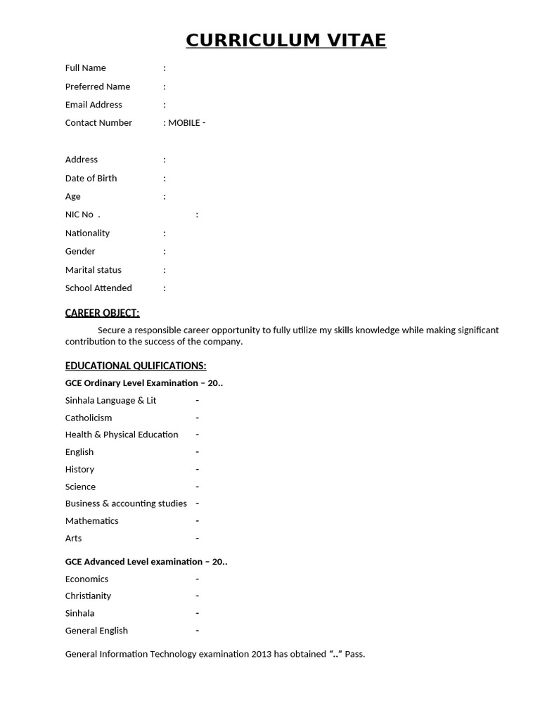 Editable CV Template | PDF