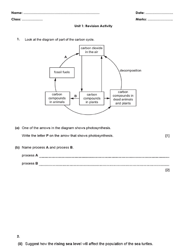 Unit 1 Revision Activity | PDF