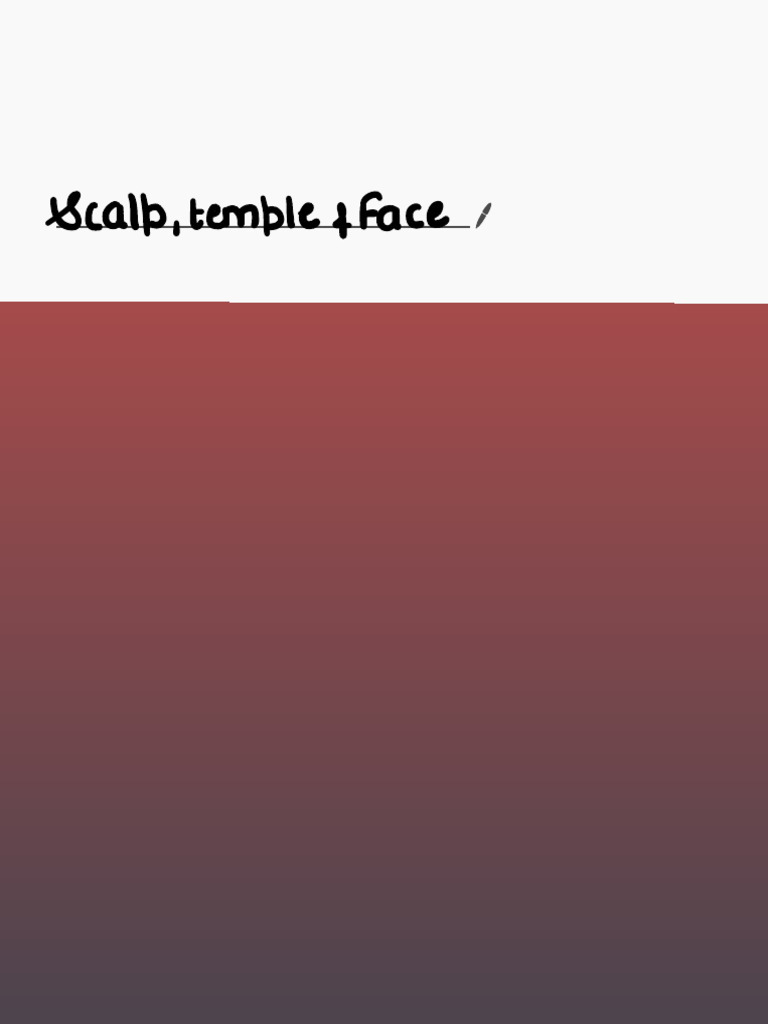 Anatomy of the Facial Temples | PDF | Human Nose | Human Anatomy