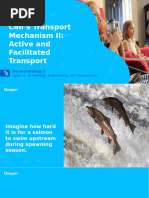 Prokaryotes and Eukaryote Venn Diagram | PDF | Cell (Biology) | Eukaryotes