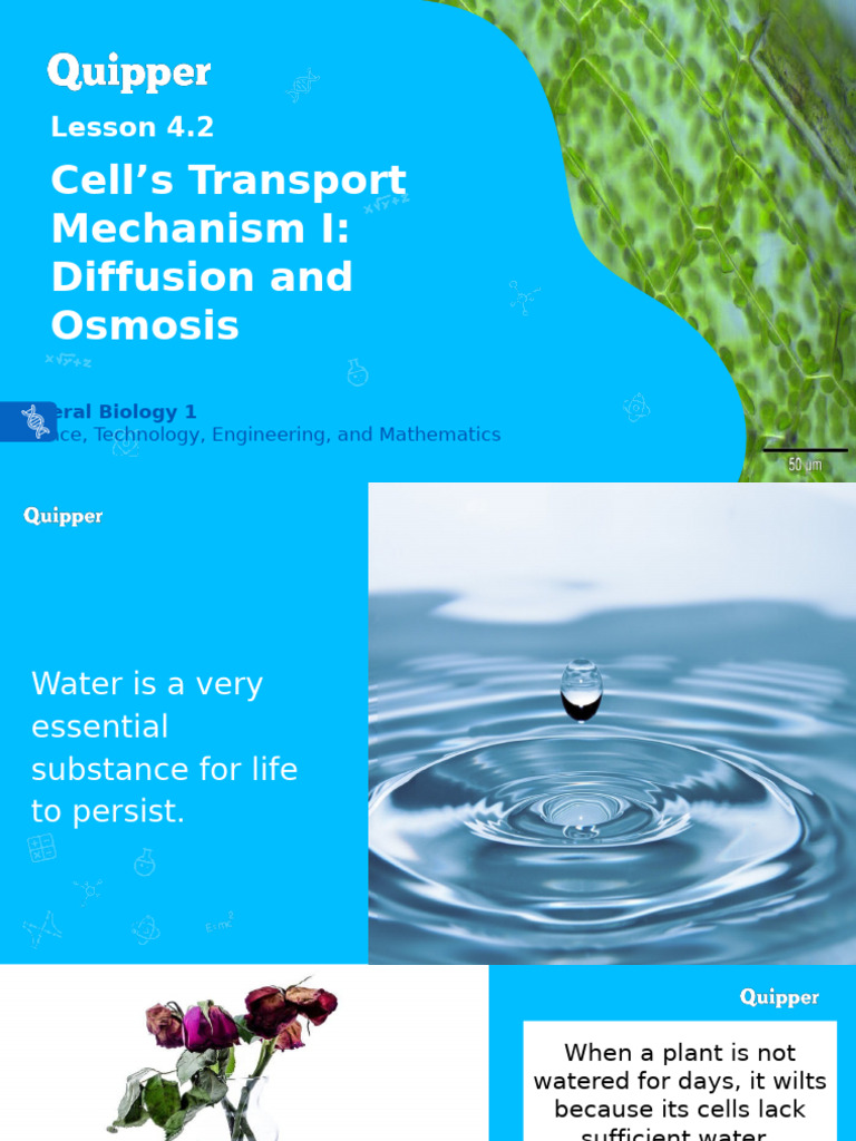 Bio 11 - 12 Q1 0402 PF FD | PDF | Osmosis | Cell Membrane
