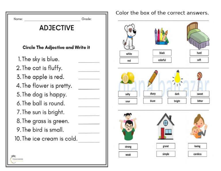 Color The Box of The Correct Answers | PDF