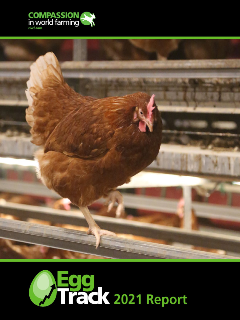 Egg Track 2021 | PDF | Poultry Farming | Animal Welfare