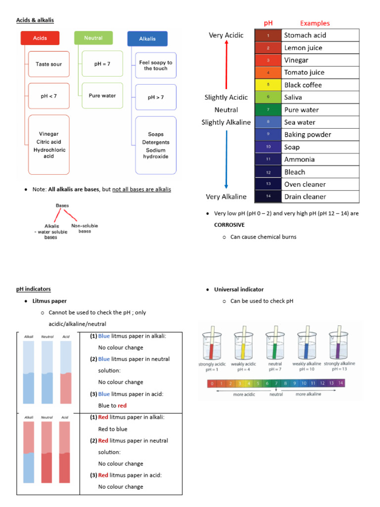 Year 7 - Acids & alkalis | PDF | Sodium Carbonate | Ph