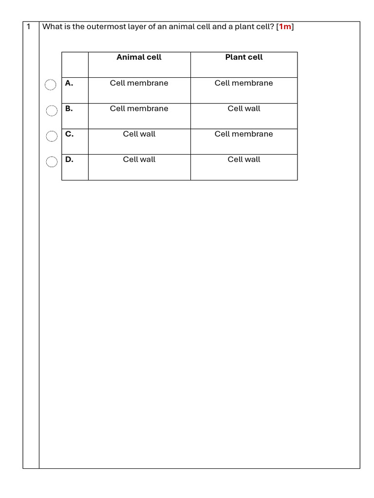 Y7 - revision test | PDF | Chemical Compounds | Cell (Biology)