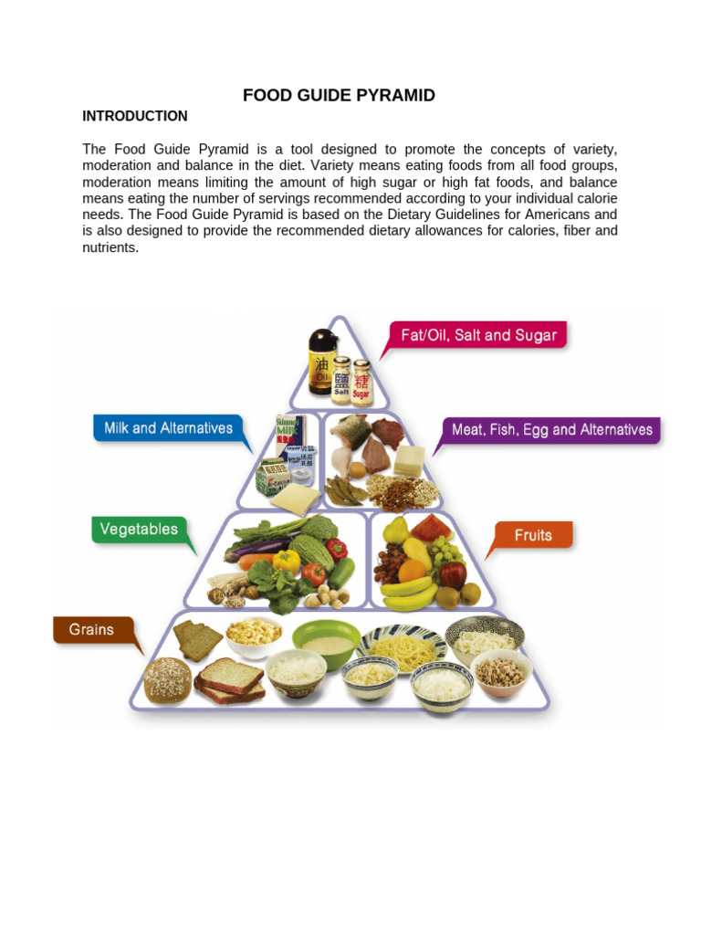 Food Guide Pyramid | PDF