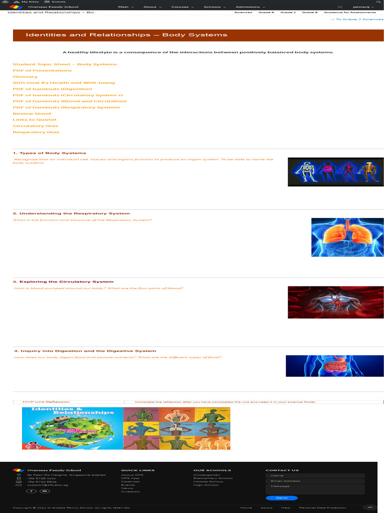 Identities and Relationships - Body Systems - MS | PDF | Physiology ...