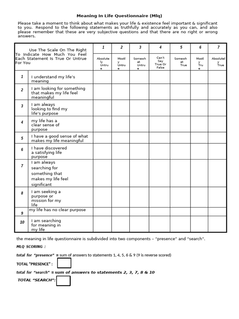 Meaning in Life Questionnaire | PDF