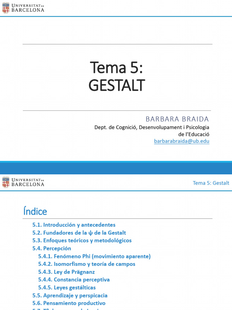 Ley de Constancia Perceptiva en Gestalt | PDF | Percepción | Sicología