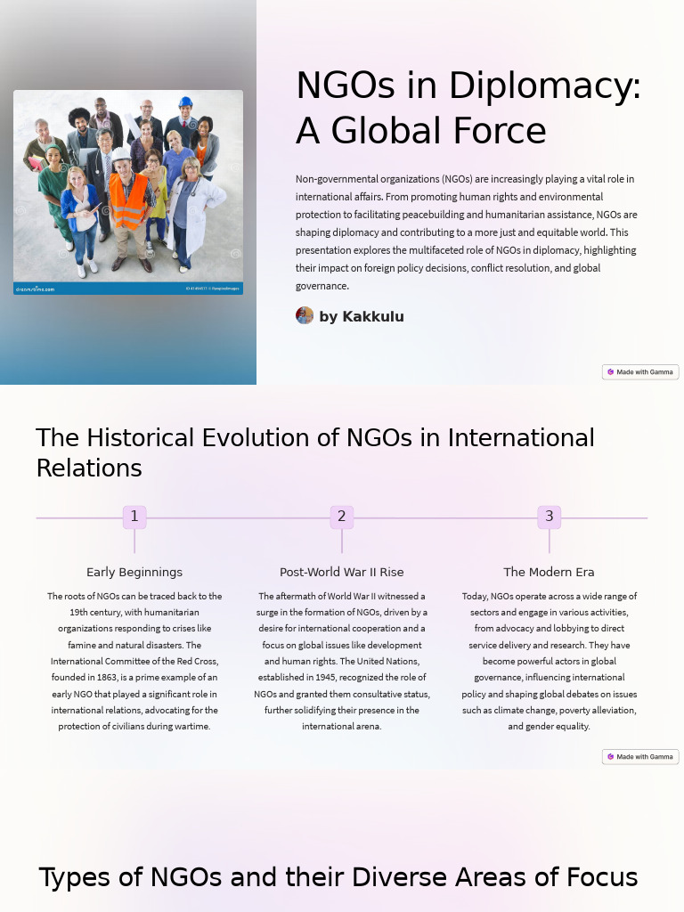 NGOs' Impact on Global Diplomacy | PDF | Non Governmental Organization ...
