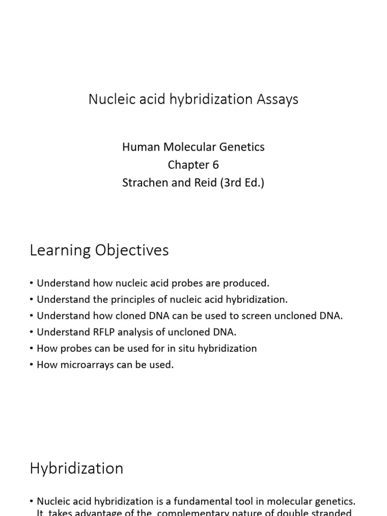 Lecture 6_ Chap11_Nucleic Acid hybridization-7 | PDF | In Situ ...