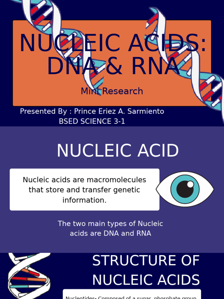 Nucleic Acids Dna RNA 1 | PDF