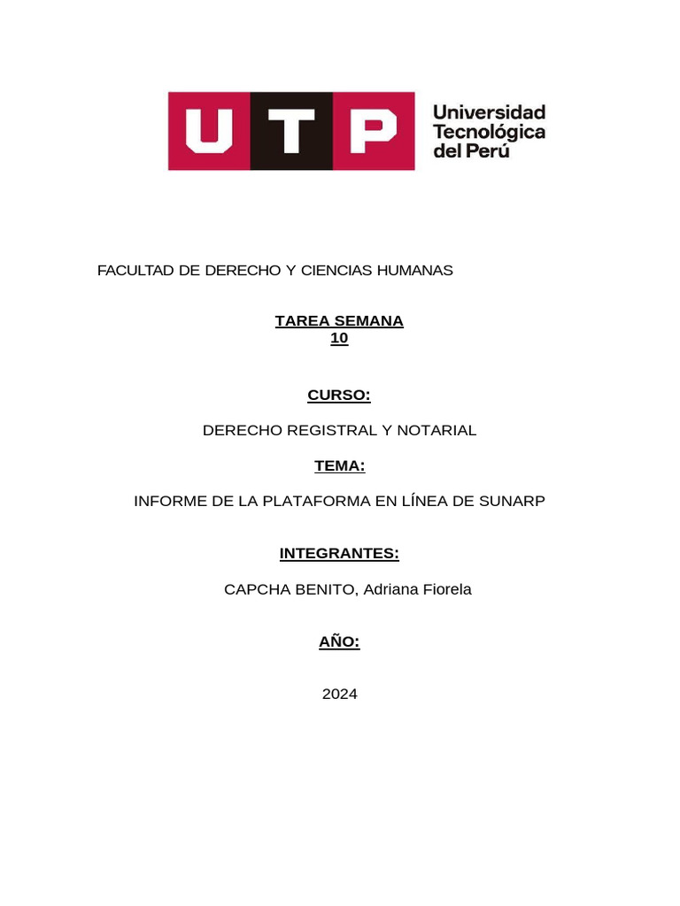 Informe de La Plataforma en Línea de Sunarp | PDF | Red mundial | Internet y web