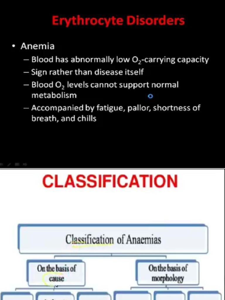 Anaemia Notes PDF | PDF