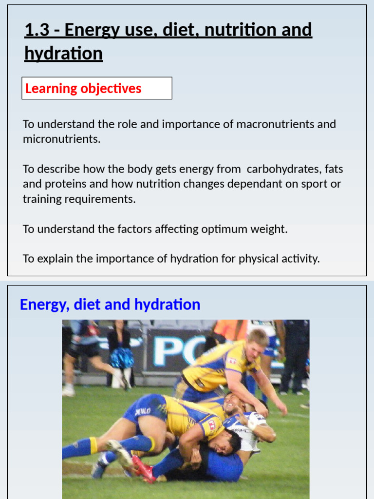 1.3 - Energy Use, Diet, Nutrition and Hydration | PDF | Food Energy ...