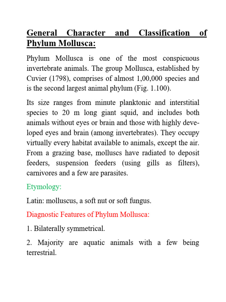 DS Zoology Mollusca Classification Sem2 | PDF | Mollusca | Molluscs