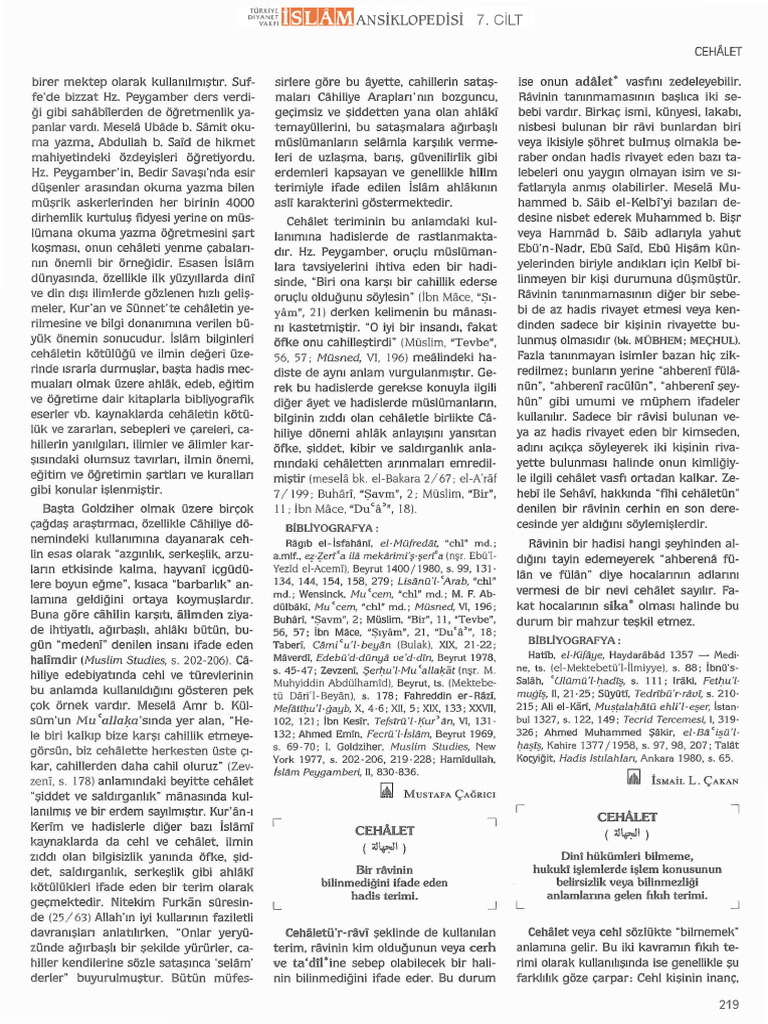 TDV DİA Cehalet Kavramı | PDF