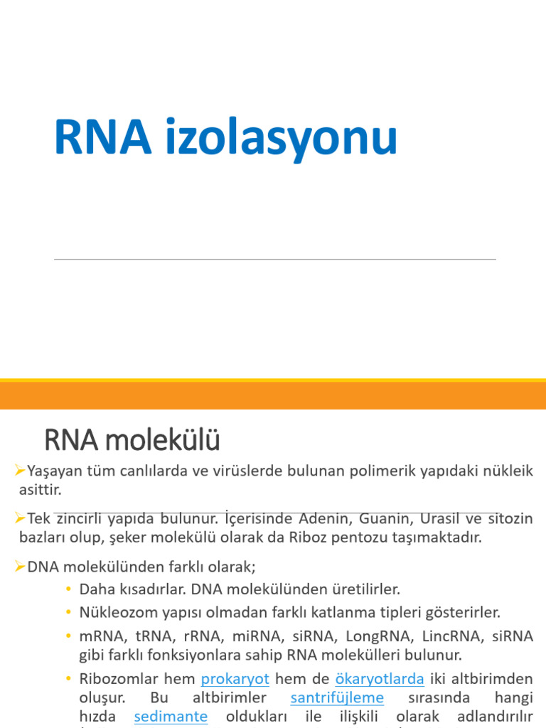 RNA Izolation | PDF