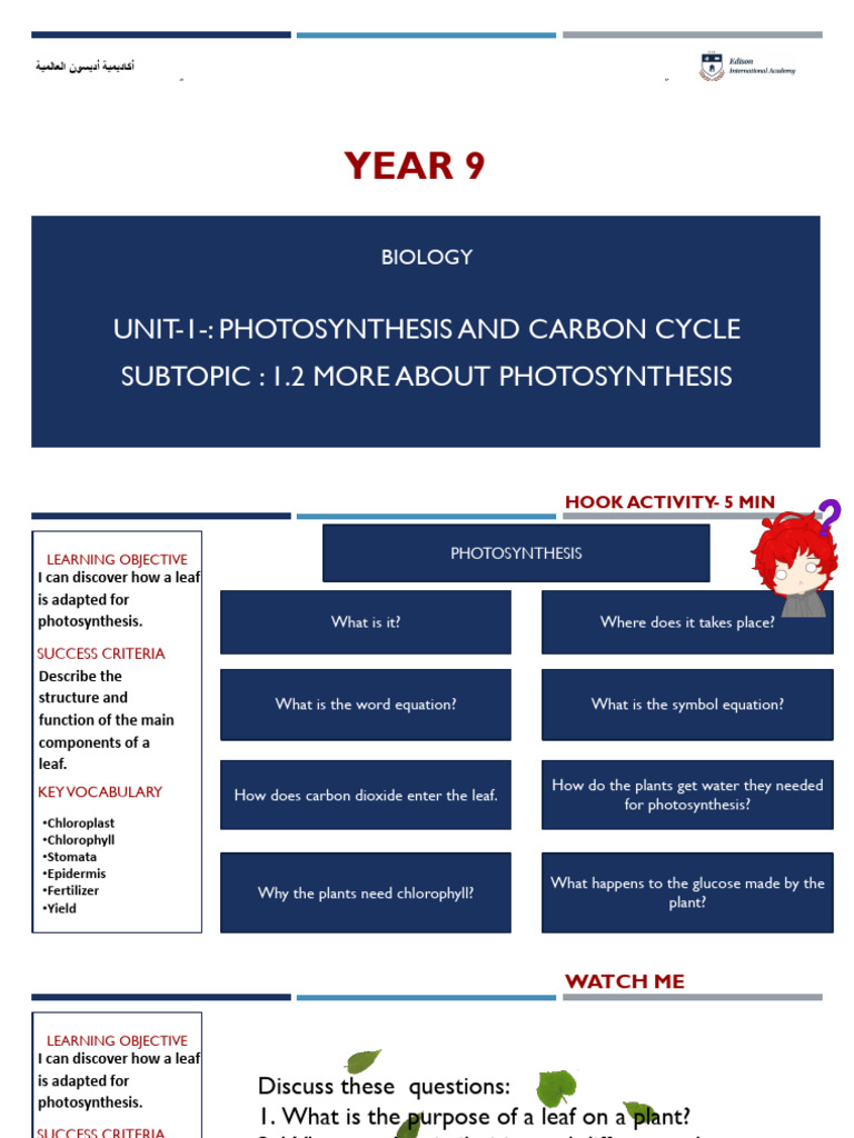 Leaf Structure and Photosynthesis Adaptations | PDF | Leaf | Photosynthesis