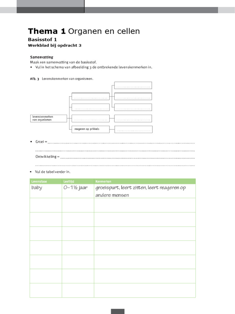 BVJ 3gt T1 BS1 Opdr3 Werkblad | PDF