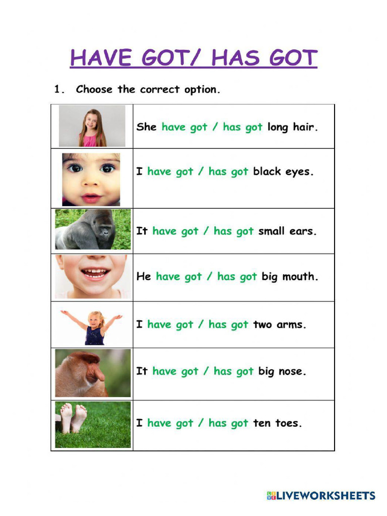 Worksheet (Have Got Vs Has Got) - Đã G P | PDF