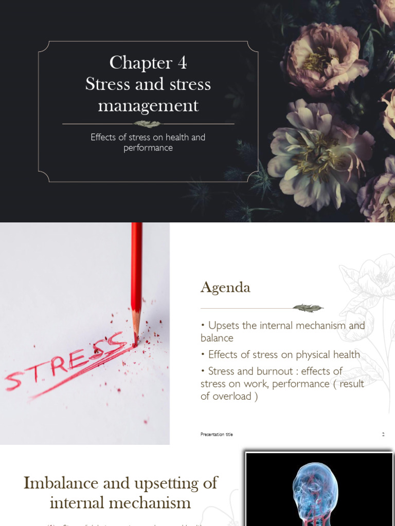 Chapter 4 Stress And Stress Management Pdf Stress Biology