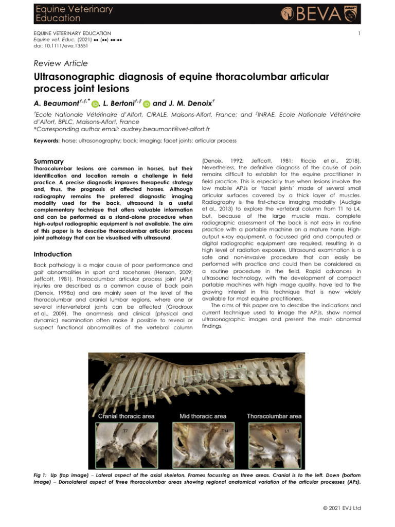 Equine Veterinary Education - 2021 - Beaumont - Ultrasonographic Diagnosis of Equine ...