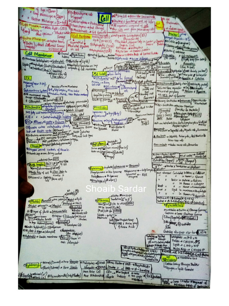 The Cell Single Page Key Points | PDF