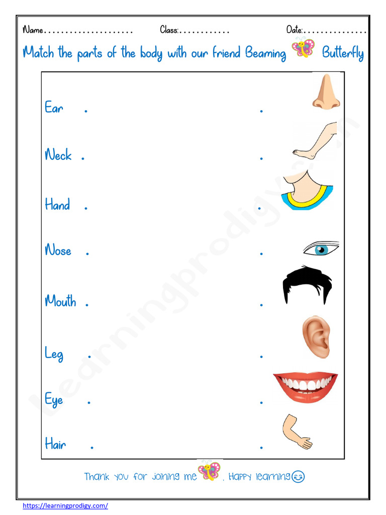 Match The Parts of The Body 1 | PDF | Language Arts & Discipline