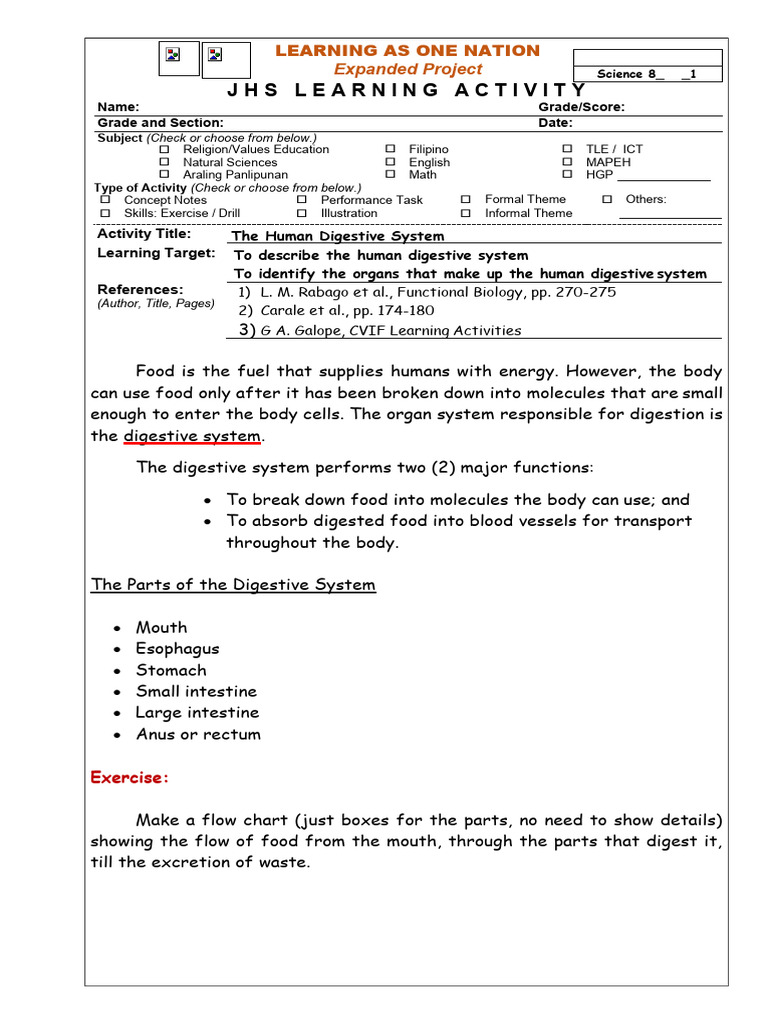 Science 8 Biology LAS 1 The Human Digestive System | PDF