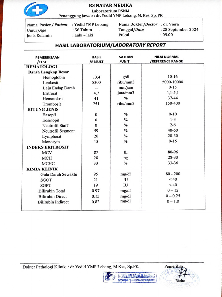 Hasil DR Yedid | PDF