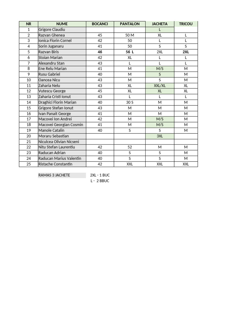 Echipamente Angajati | PDF