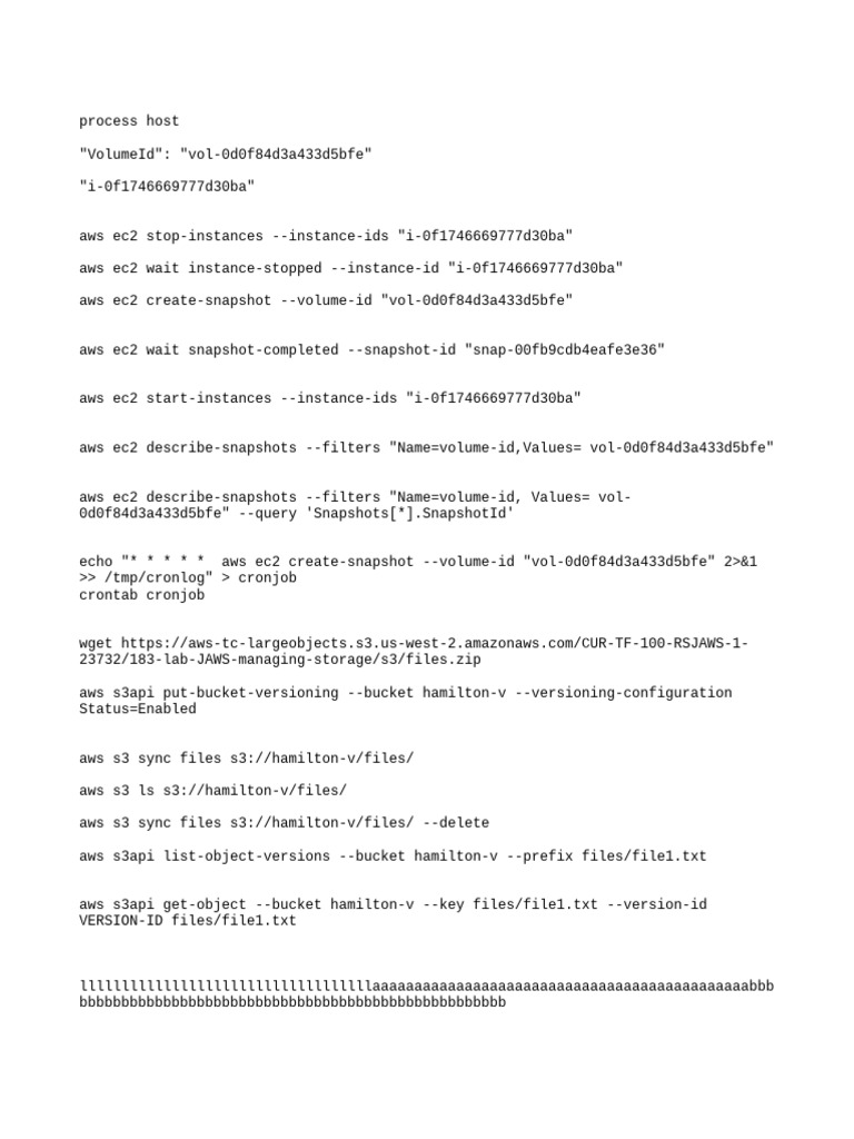 Manage Storage Via s3 N Ebs Snapshots Using Cli | PDF | Computer File | Command Line Interface