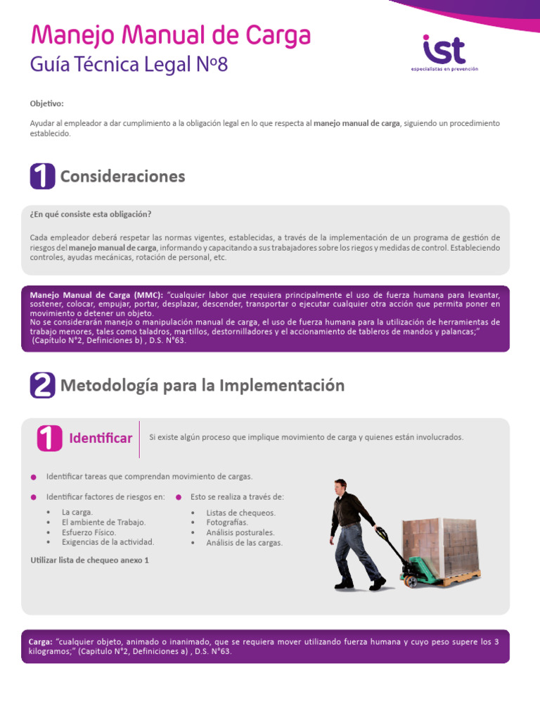 GTL #8 - Manejo Manual de Carga | PDF