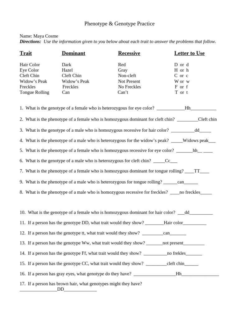 Phenotype & Genotype Worksheet | PDF | Genotype | Dominance (Genetics)