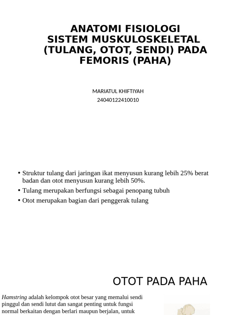 Anatomi Fisiologi | PDF | Kesehatan Holistik