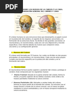 Cavidad Orbitaria, Pterigoidea, Tempora, Fosas Nasales, Pterigomaxilar ...