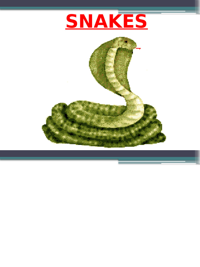 Snake Bite PPT GOPAL | PDF | Snake | Squamata