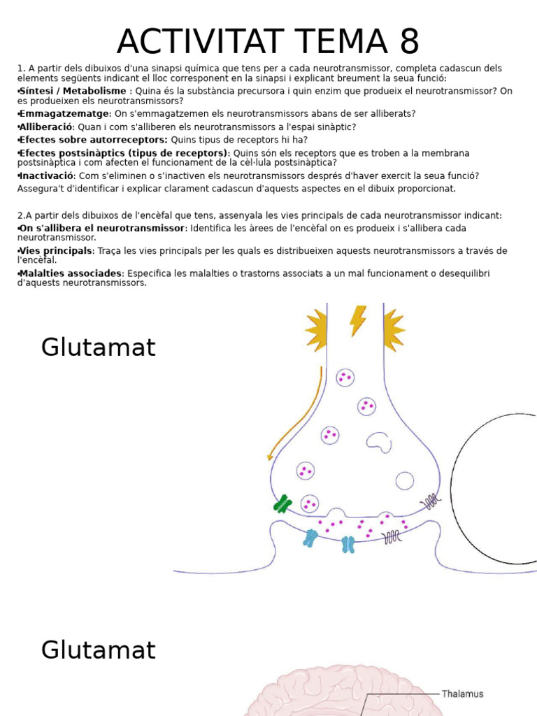 Activitat Tema 8 | PDF