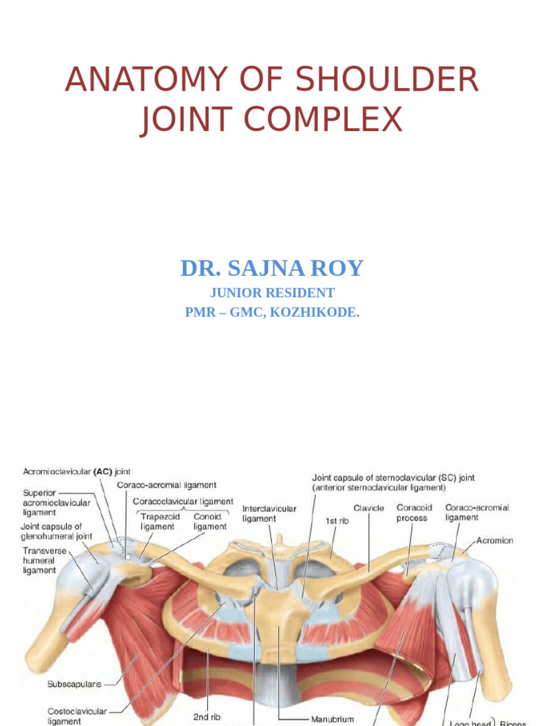 ANATOMY OF SHOULDER JOINT COMPLEX | PDF | Shoulder | Musculoskeletal System