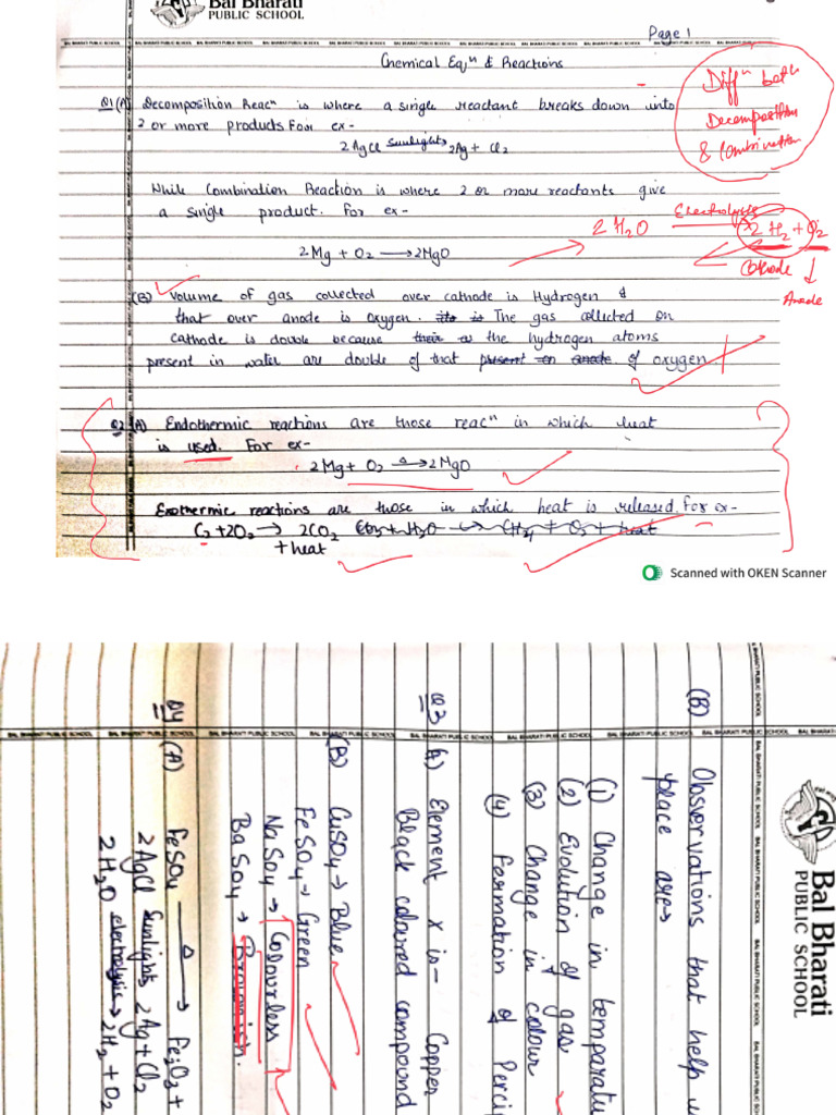 Aaruhi's Response (Chemical Reactions) | PDF