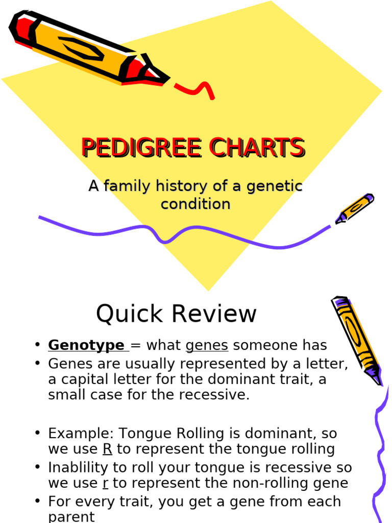 Pedigree Charts Introduction 2017 | PDF | Dominance (Genetics) | Genotype