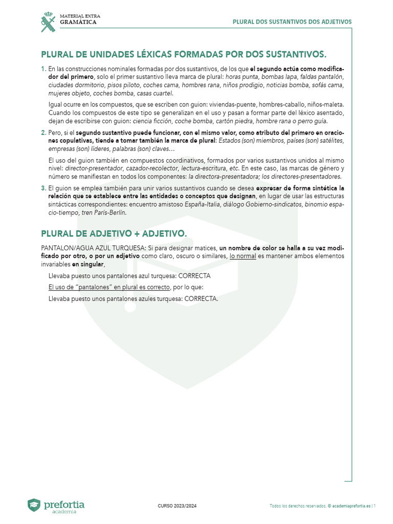 Plural de Sustantivos y Adjetivos en Español | PDF | Estudios de ...