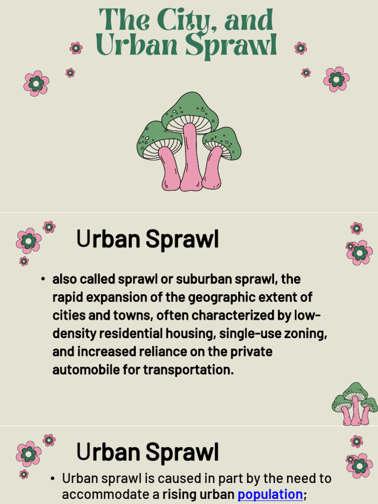 A The City and Urban Sprawl 1 | PDF | Urban Sprawl | Suburb