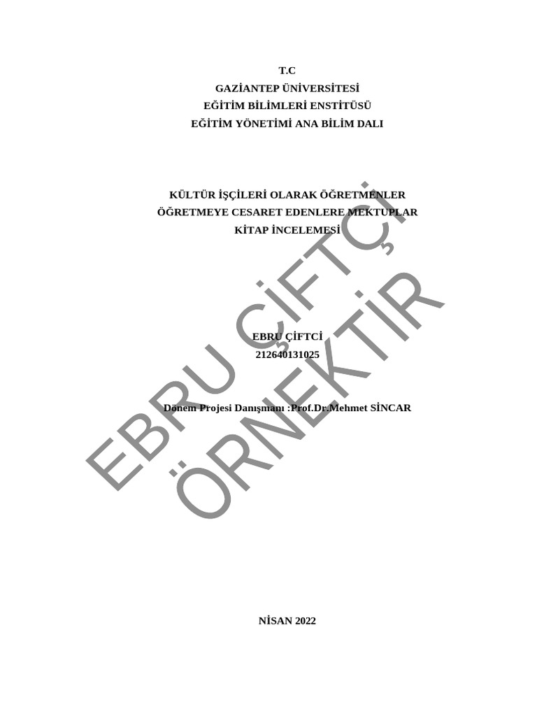 Ornek Proje Ebru Hanım | PDF