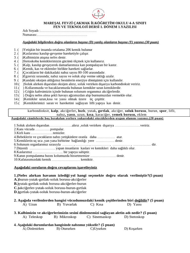 Sinif Fen Sinavi 1 | PDF